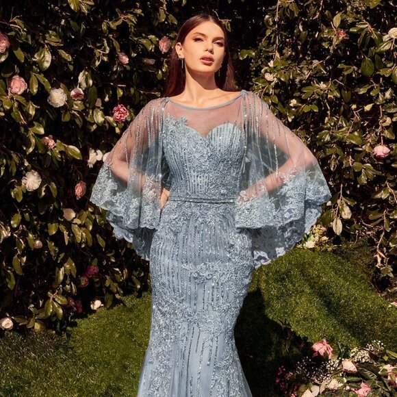 Cinderella | Dresses | New Formal Maxi Sheath Tulle Gown W Caplet ...